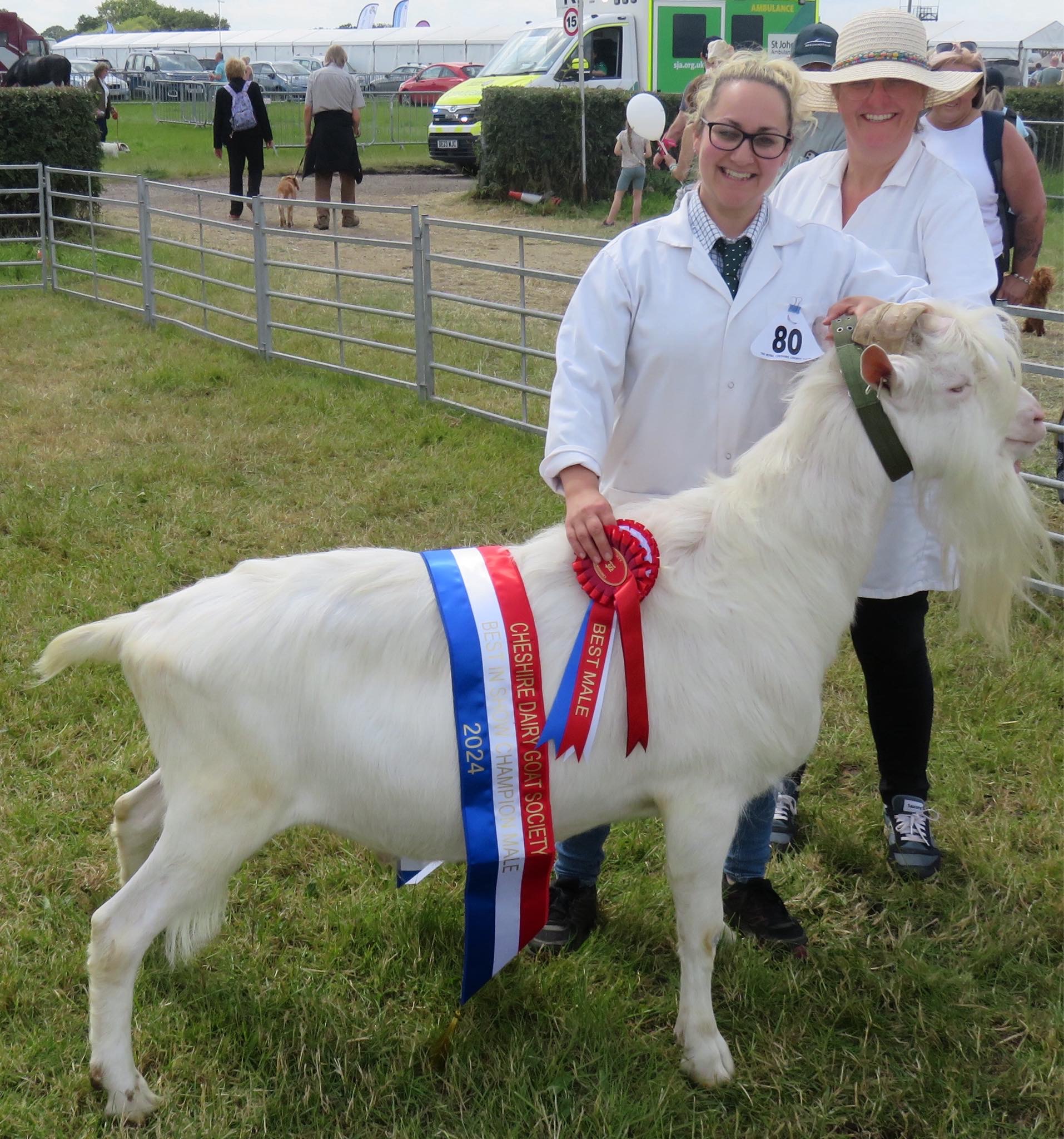 View Goats - British Goat Society