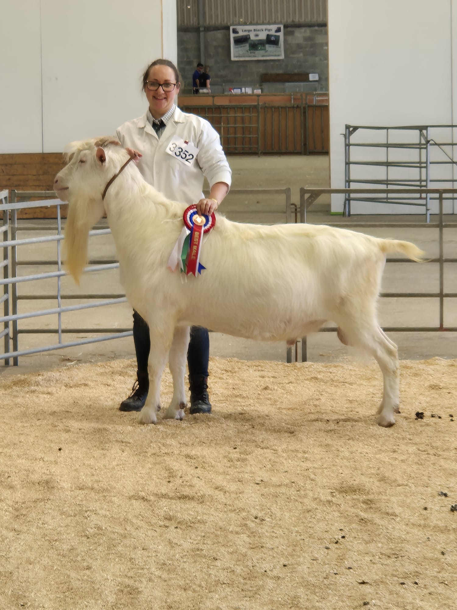 View Goats - British Goat Society